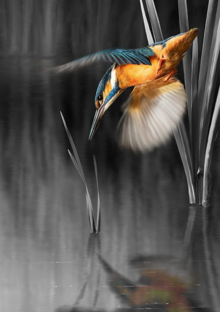 Twilight Flight - White Sails Gallery