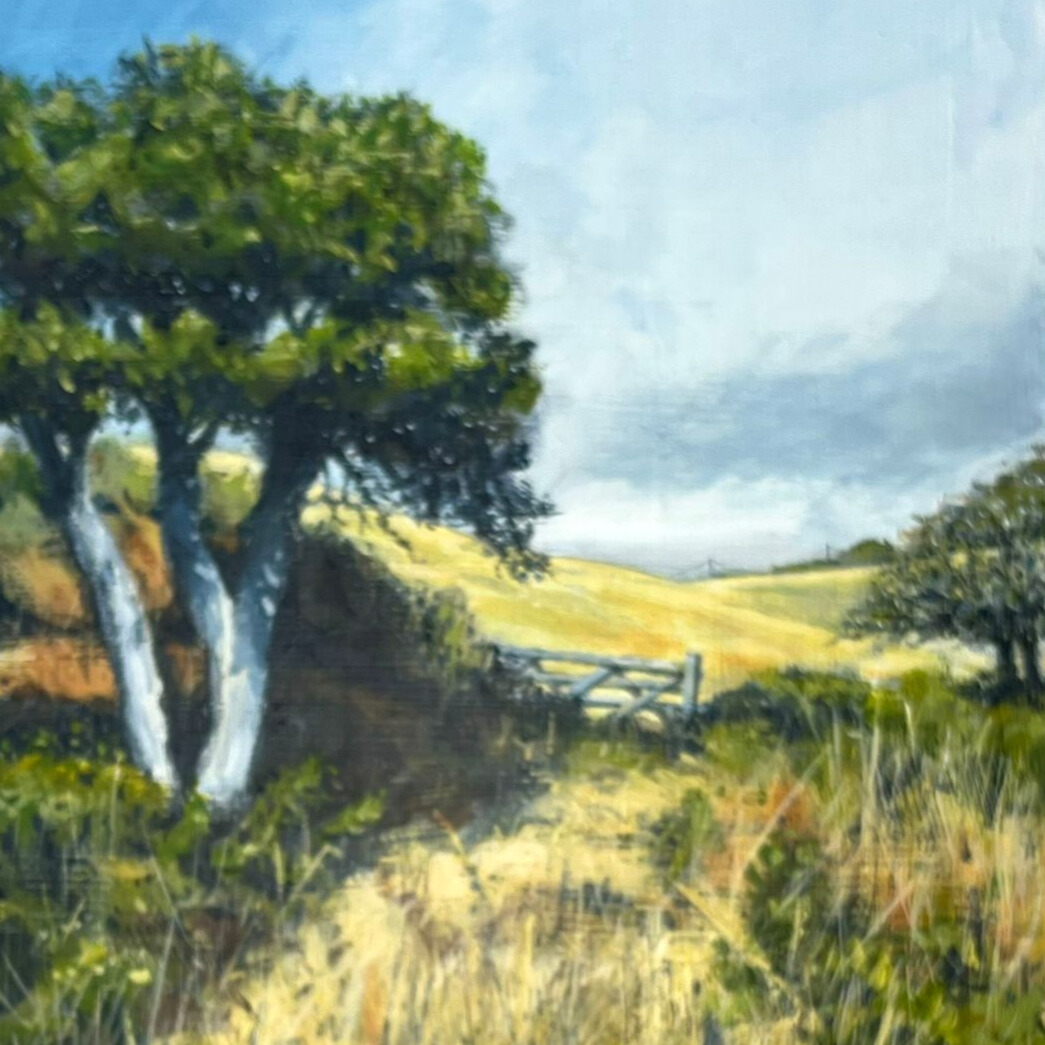 The White Tree - White Sails Gallery