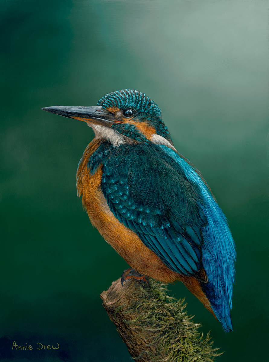 Elusive - White Sails Gallery