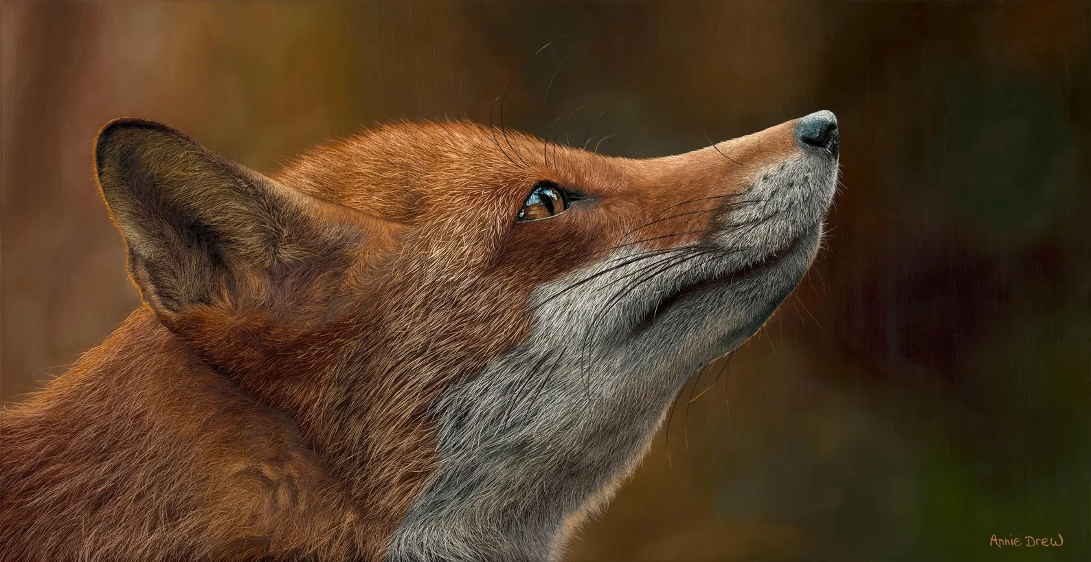 Fox At Sunset - White Sails Gallery